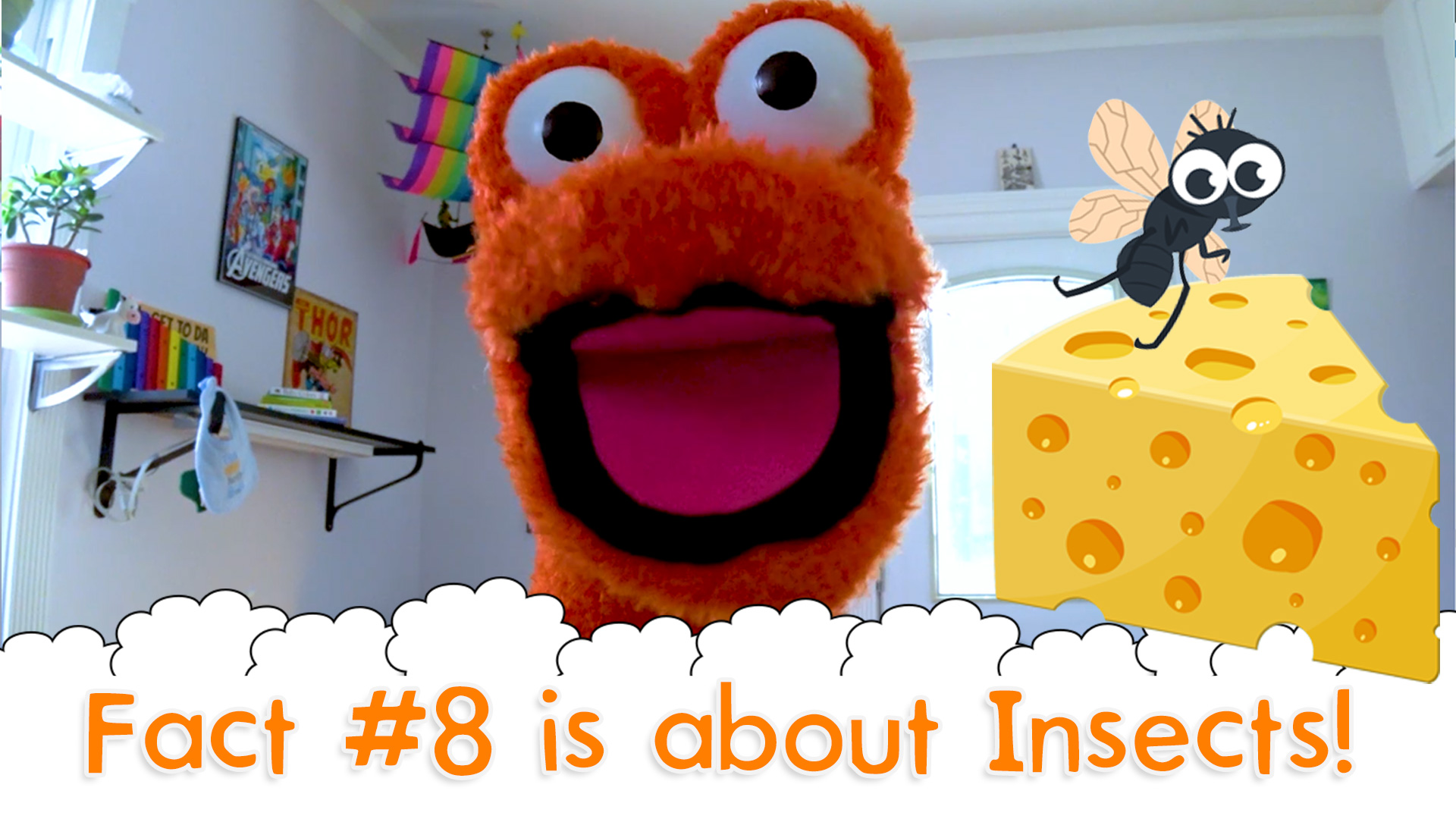 The Fact a Day - #8 - What Do Flies Taste Like? - The Fact a Day