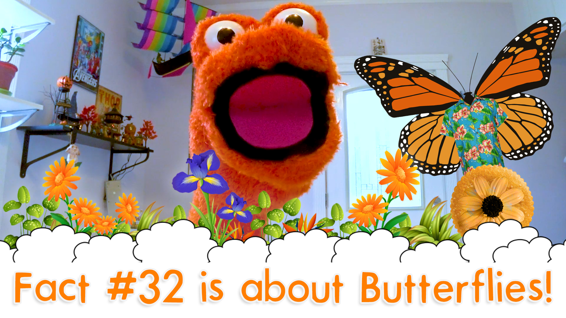 Butterflies Archives - The Fact a Day