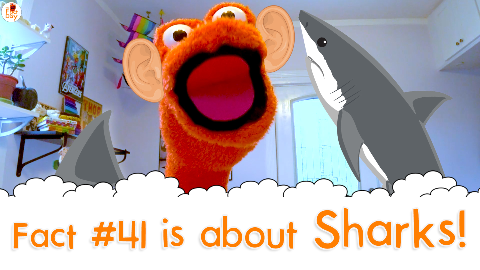 great white shark Archives - The Fact a Day