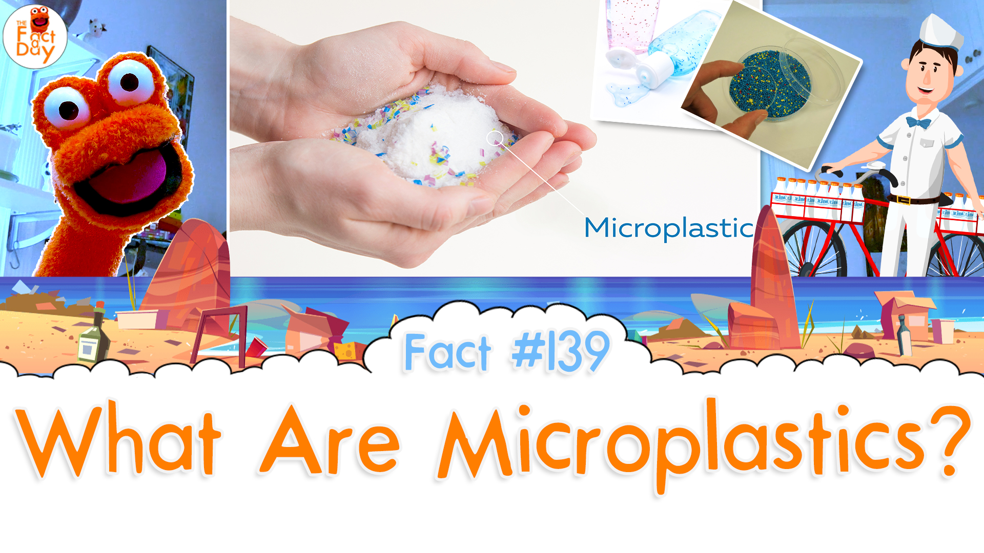 What Are Microplastics? - The Fact a Day - #139 - The Fact a Day